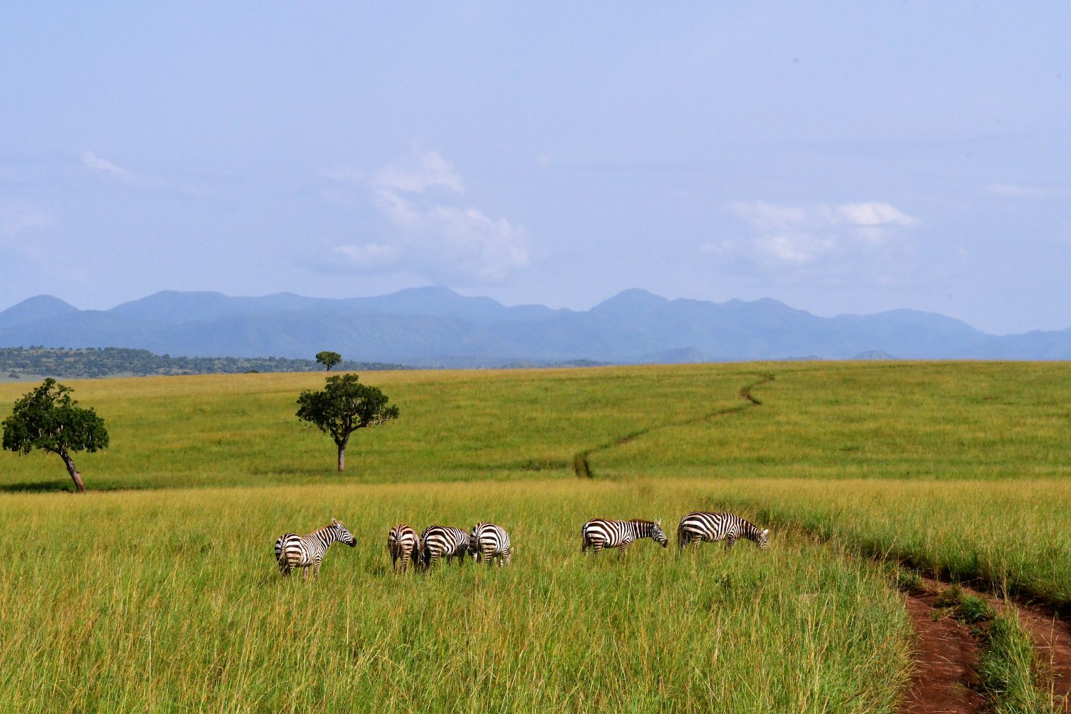 Kidepo Valley National Park bezoeken? » Habari Travel